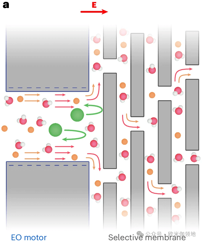 欧米伽微综述|Nat. Mater., Nat. Commun.|氧化石墨烯二维膜纳米流体行为研究进展 | 石墨烯网