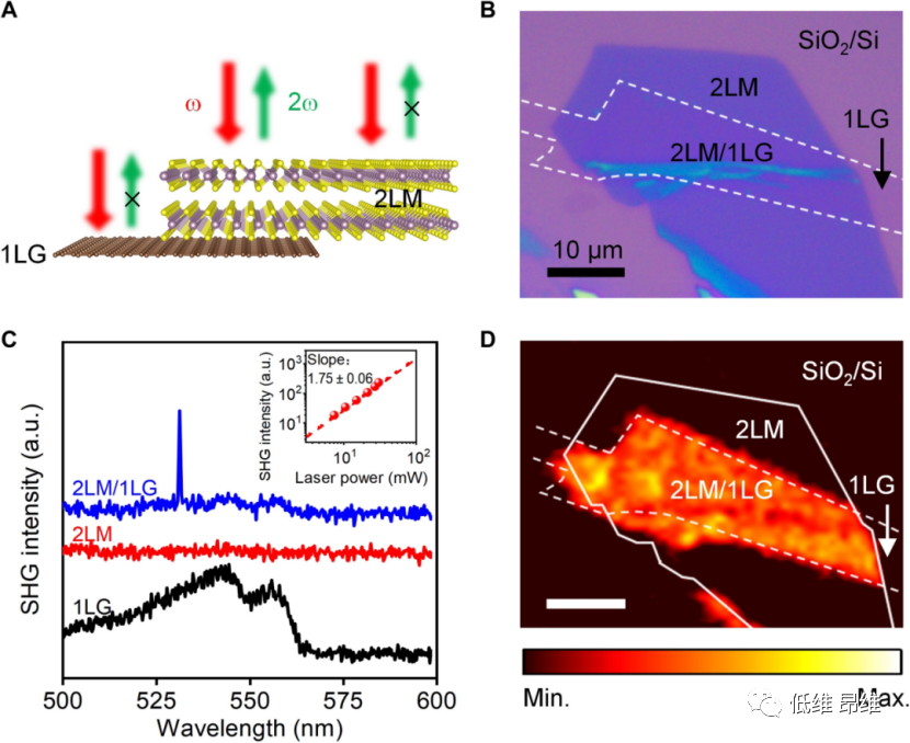 Sci. Adv.：双层MoS2和单层石墨烯范德华异质结中的二次谐波生成 | 石墨烯网