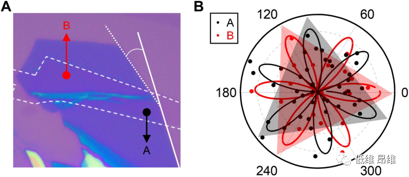 Sci. Adv.：双层MoS2和单层石墨烯范德华异质结中的二次谐波生成 | 石墨烯网