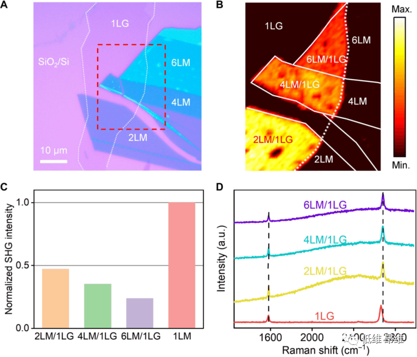 Sci. Adv.：双层MoS2和单层石墨烯范德华异质结中的二次谐波生成 | 石墨烯网