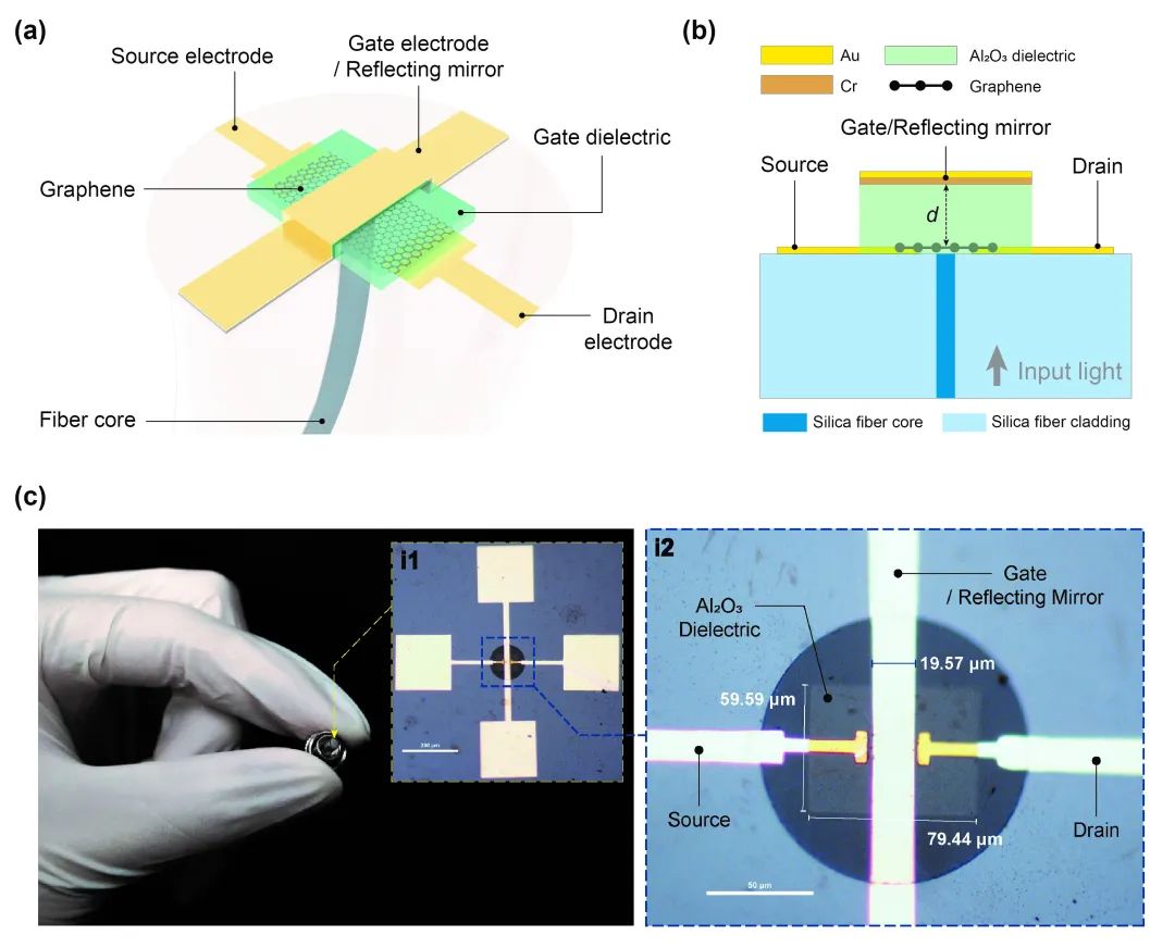 南京大学徐飞教授AOM：光纤光电集成–光纤端面集成的栅控石墨烯电光调制器 | 石墨烯网